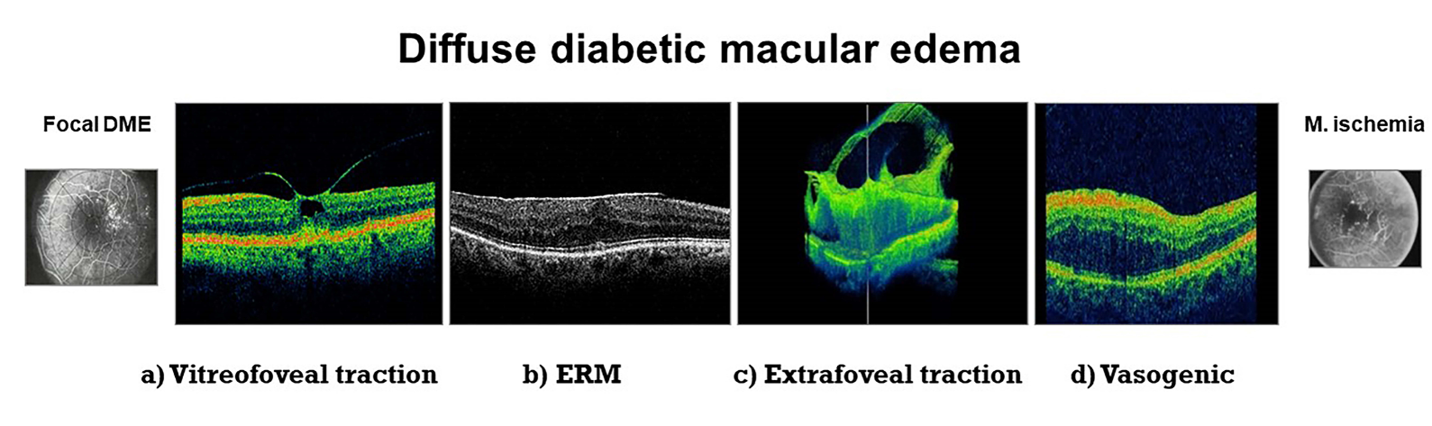 Acta Scientific | International Open Library | Open Access Journals ...